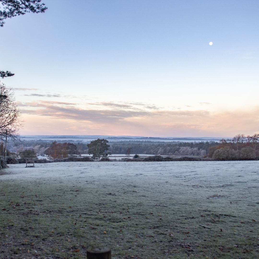 8 wonderful things to do in the New Forest this winter | Avon Tyrrell