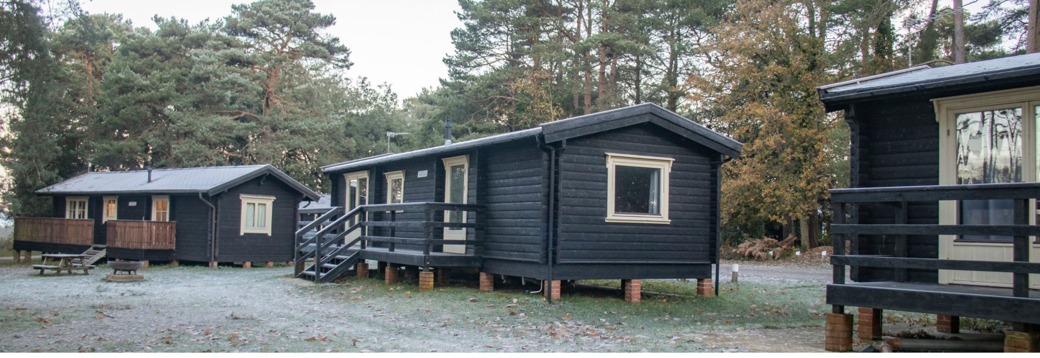 8 wonderful things to do in the New Forest this winter | Avon Tyrrell