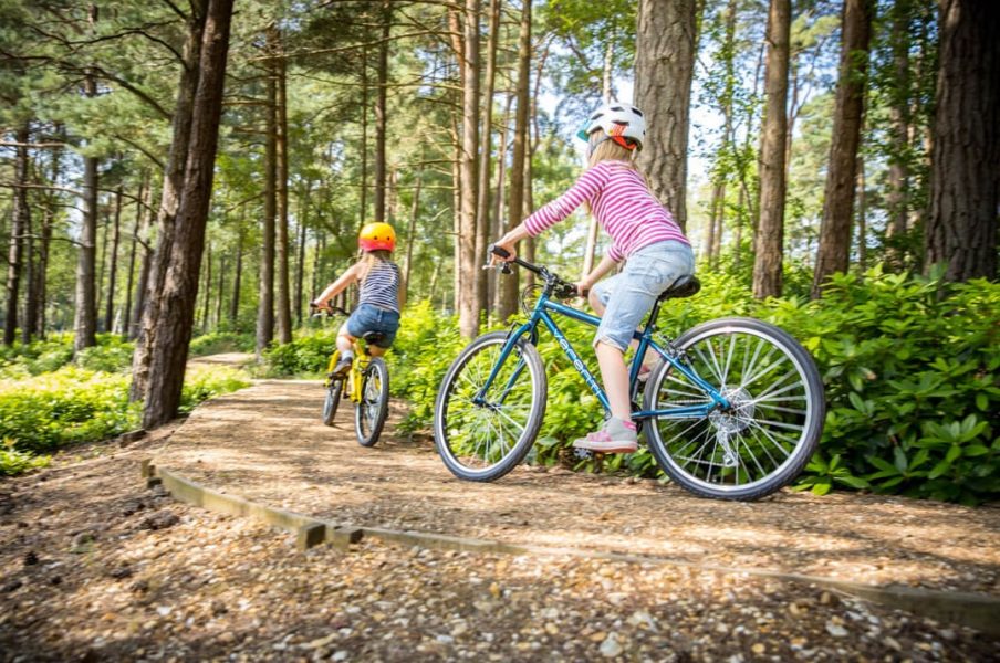 Discover Avon Tyrrell's On-Site Facilities for Your Stay