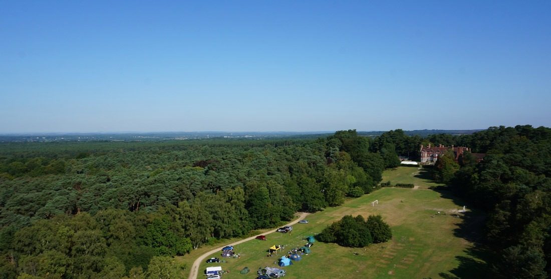 Discover the best of the New Forest and Beyond: The Ultimate Guide to ...