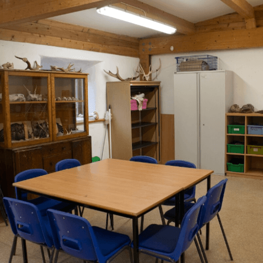 Education Day Visits: New Forest Activity Centre | Avon Tyrrell