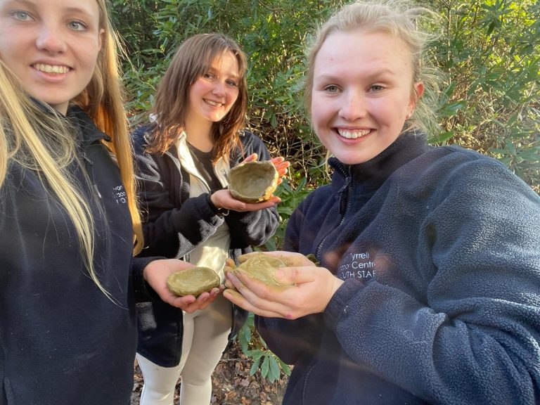 Outdoor Learning Apprenticeship Opportunities | Avon Tyrrell